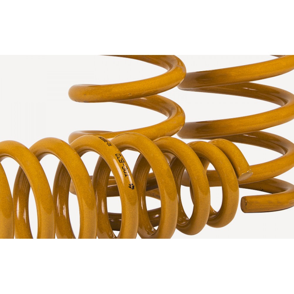 Tough Dog Front Coil Springs (Hilux/Fortuner/Prado/FJ Cruiser) - Coil ...